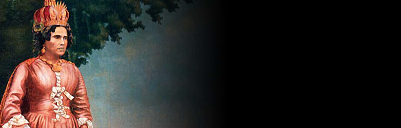 Home - SplashTravels