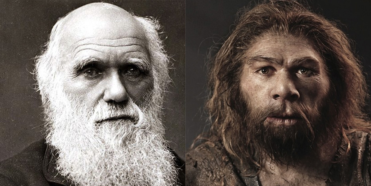 Adaptive Facts About Evolution