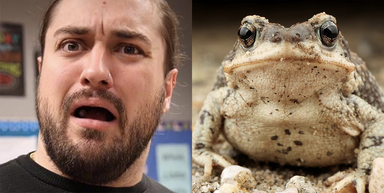 Disgusting But Interesting Facts