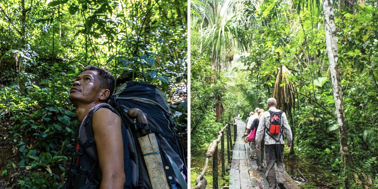 Astonishing Facts About Rainforests