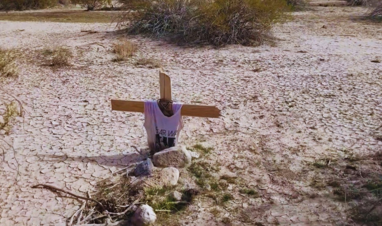 25 Things Found In American Deserts That Prove The Barren Land Hosts ...