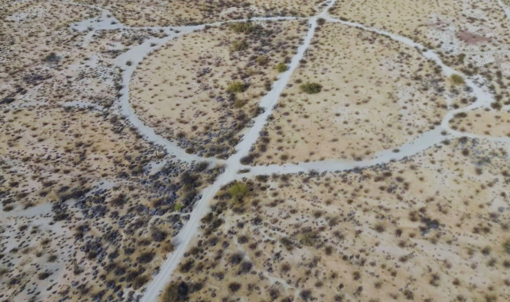 25 Things Found In American Deserts That Prove The Barren Land Hosts ...