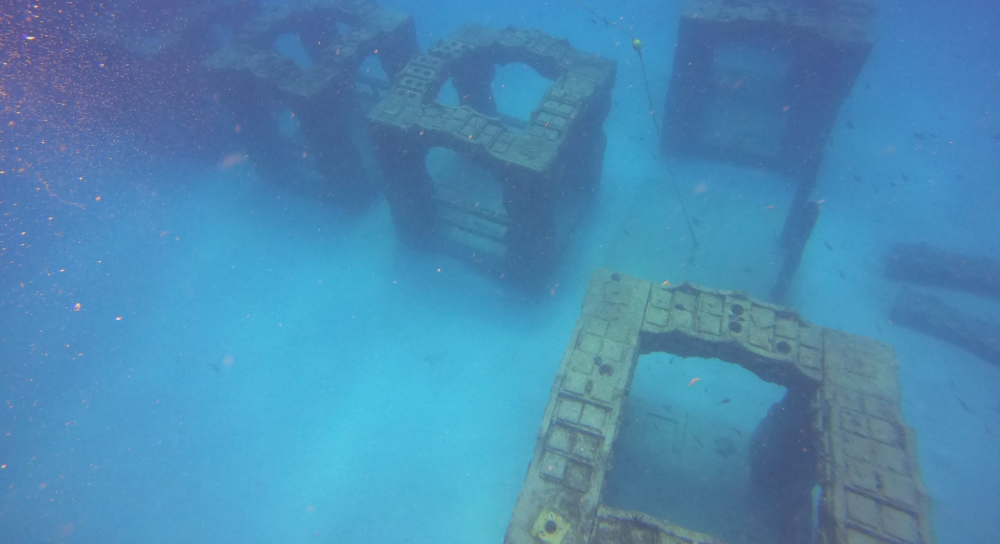 The Neptune Memorial Reef
