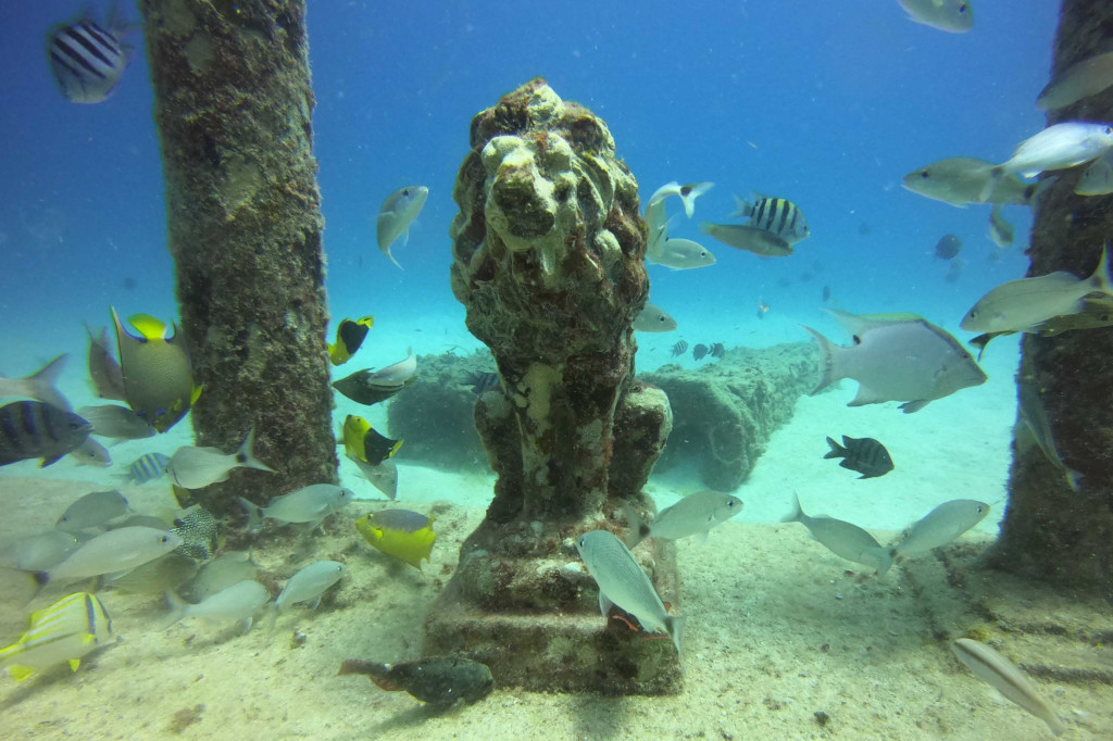 The Neptune Memorial Reef
