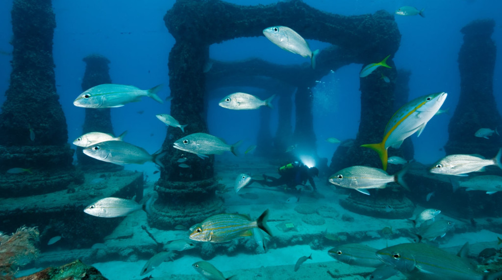 The Neptune Memorial Reef