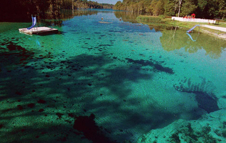 America's Subterranean Wonders: Top Cave Diving Destinations