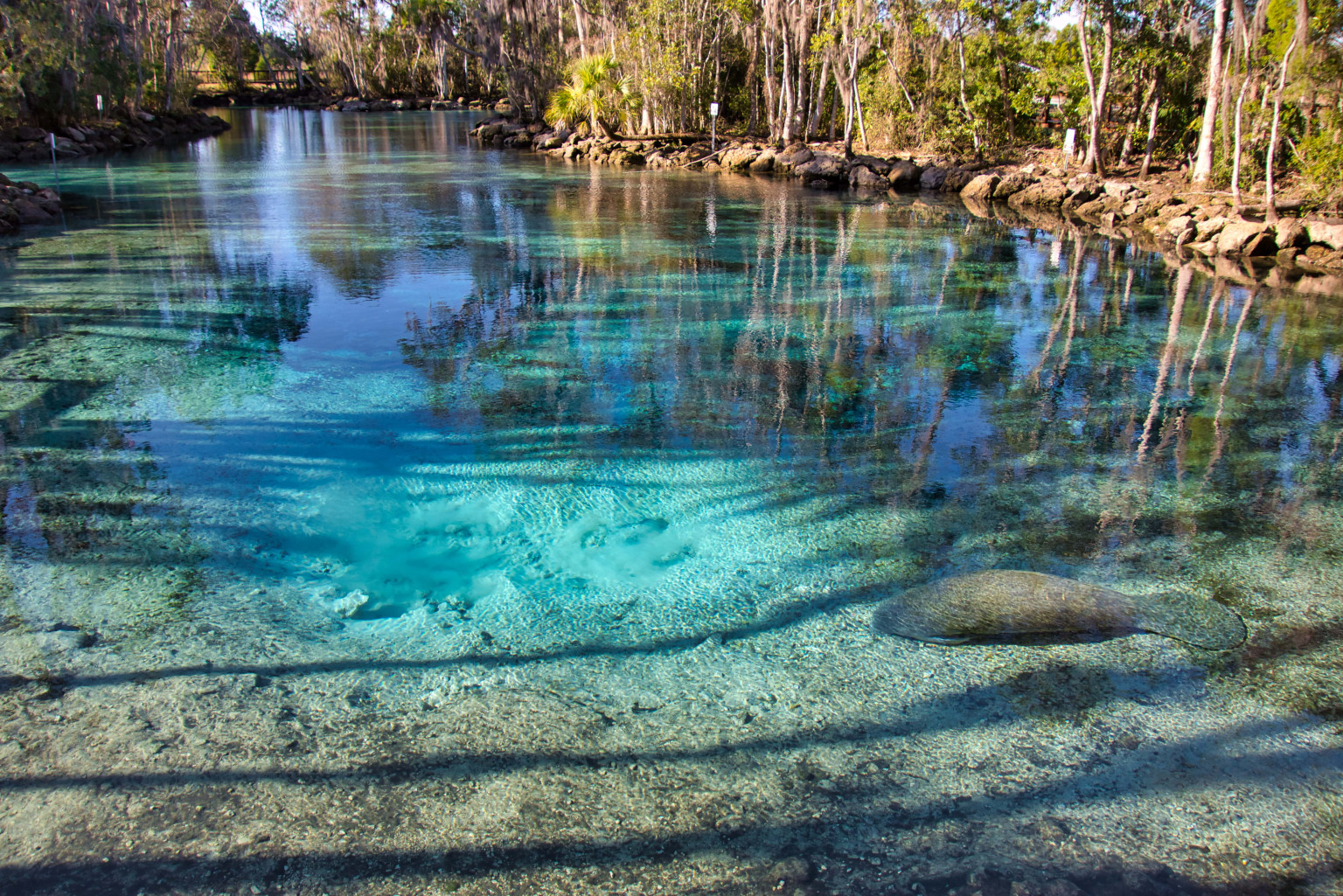 America's Subterranean Wonders: Top Cave Diving Destinations