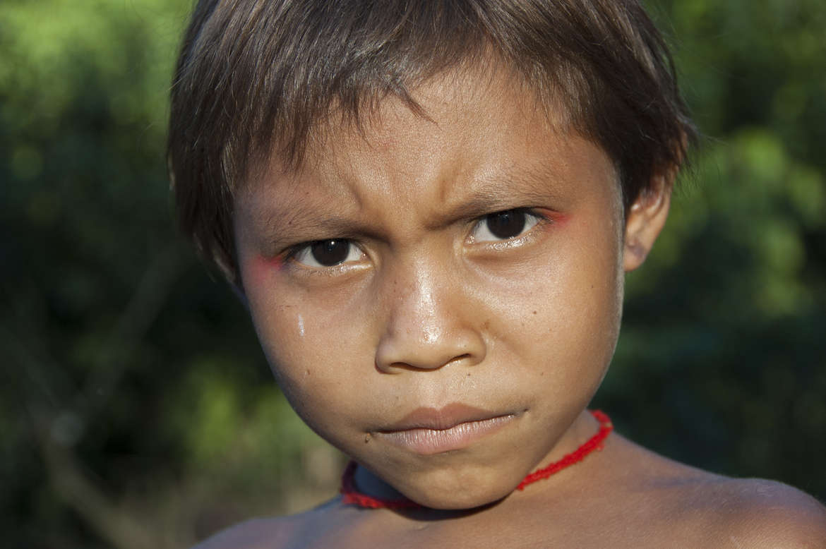 The Yanomami Tribe