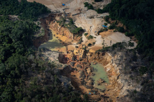 The Yanomami Tribe