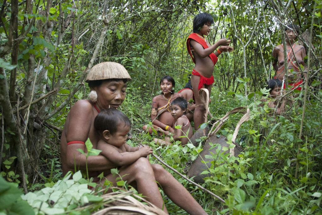 The Yanomami Tribe