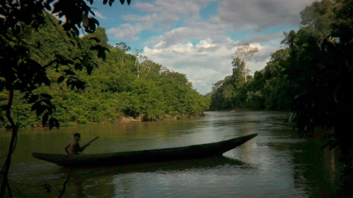 The Yanomami Tribe