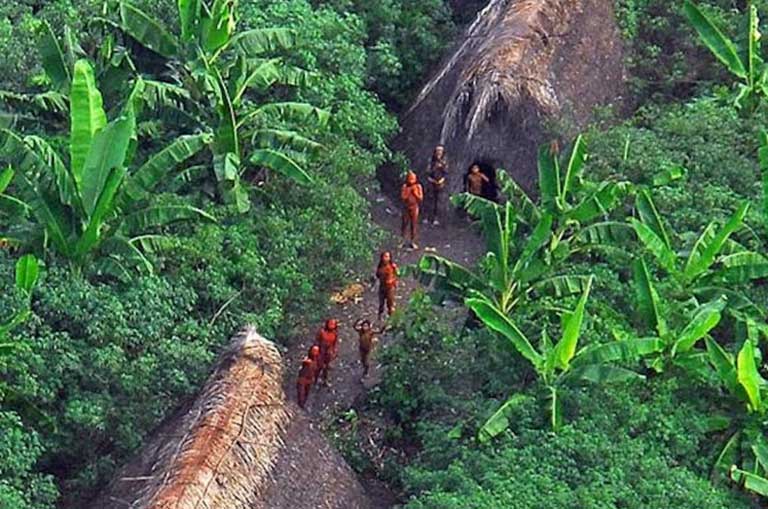 The Kawahiva: The Uncontacted Tribe Living in the Amazon Rainforest
