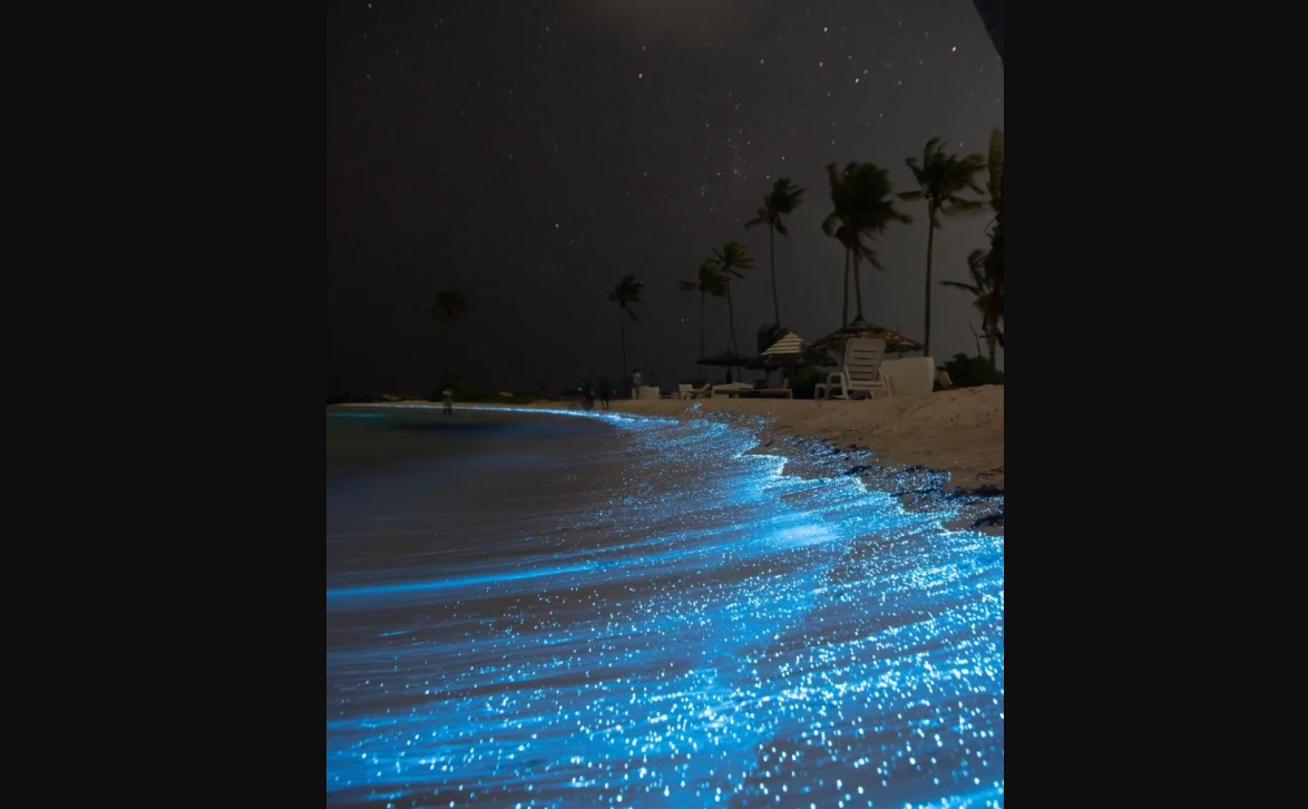 Vaadhoo Island, Maldives