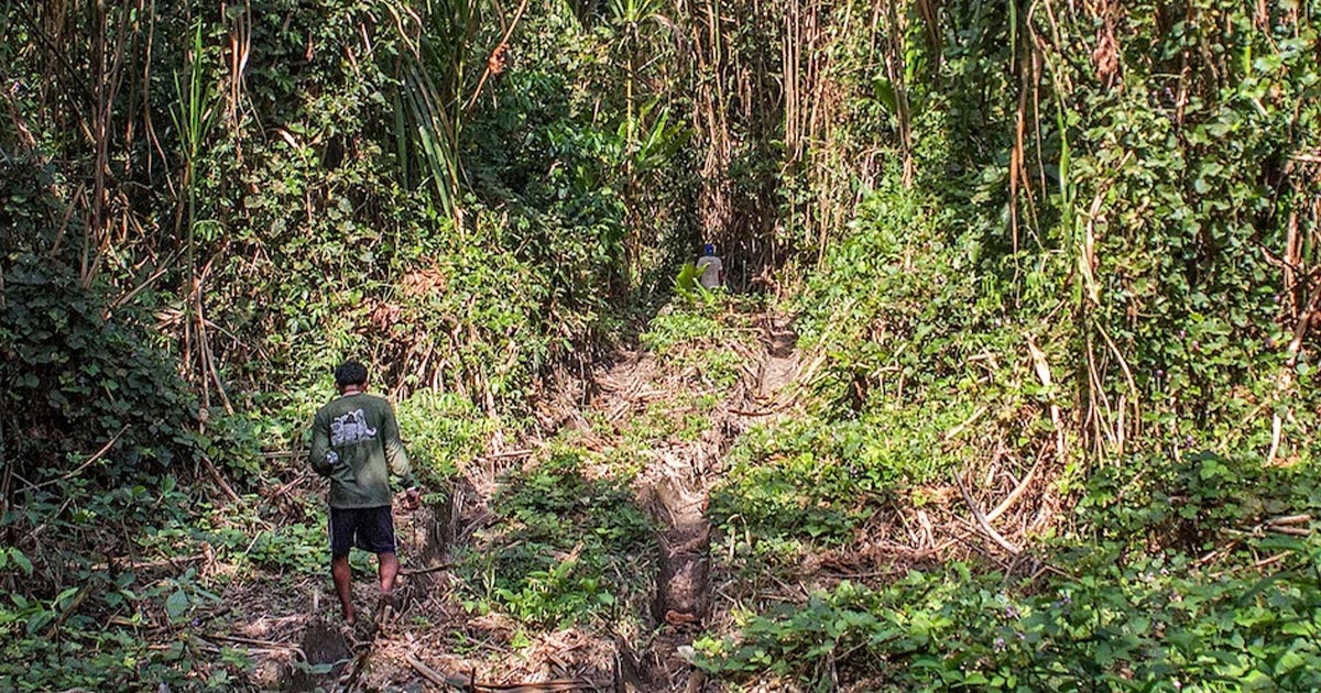 The Mashco-Piro Tribe's Struggle For Survival