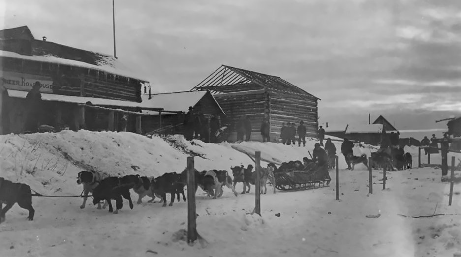 The Ultimate Guide To Dog Sledding