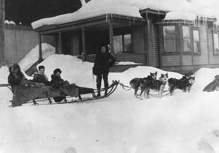 The Ultimate Guide To Dog Sledding