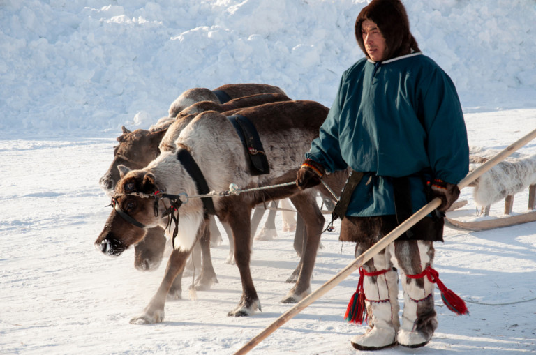 The Nenets: The Russian Arctic Tribe