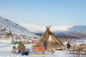 The Nenets: The Russian Arctic Tribe