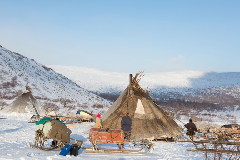 The Nenets: The Russian Arctic Tribe