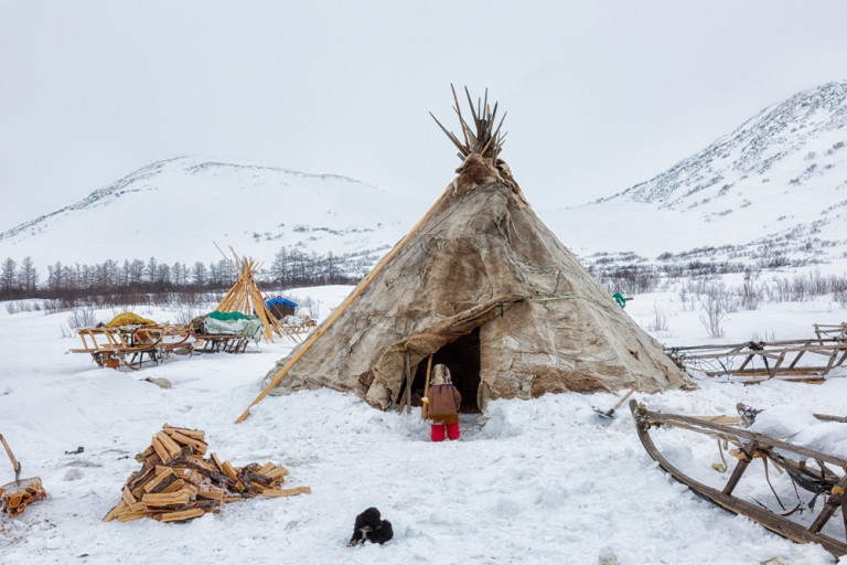 The Nenets: The Russian Arctic Tribe