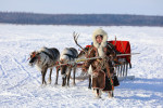 The Nenets: The Russian Arctic Tribe