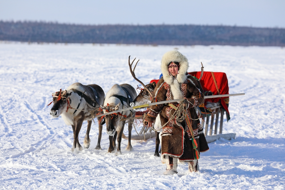 The Nenets: The Russian Arctic Tribe