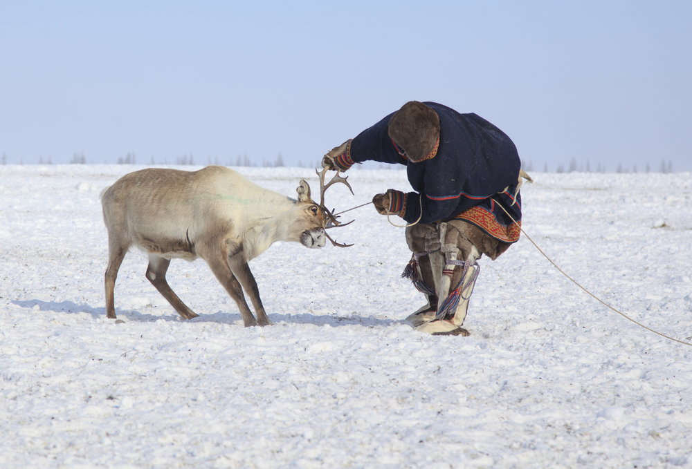 The Nenets: The Russian Arctic Tribe