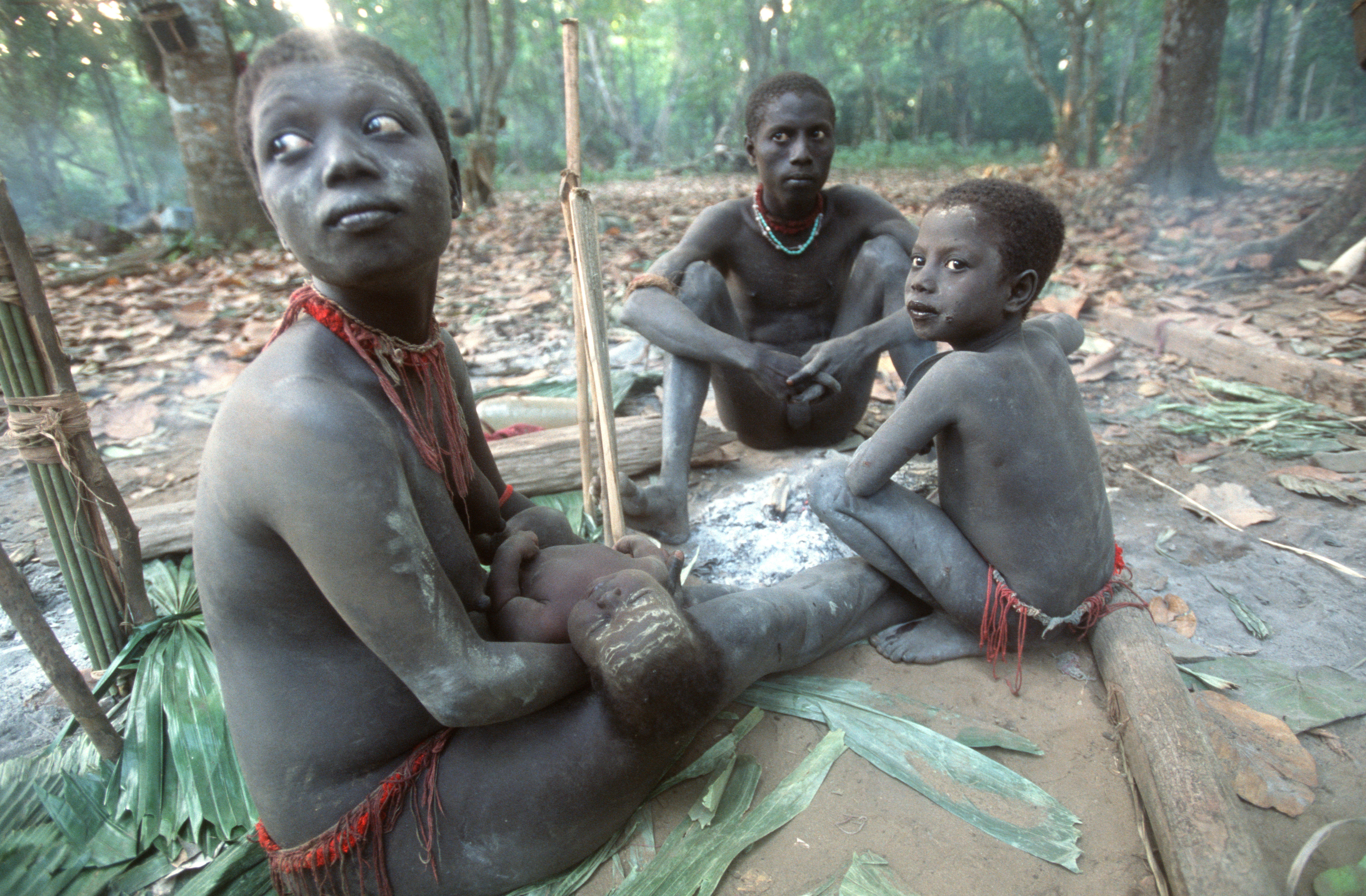 The Jarawa Tribe