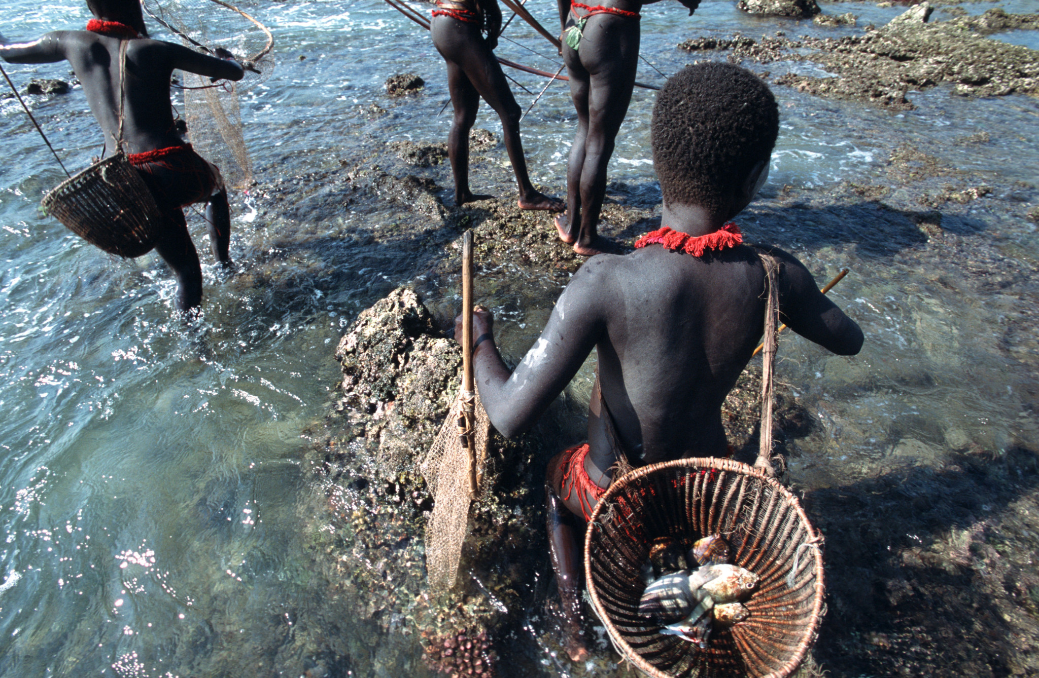 The Jarawa Tribe