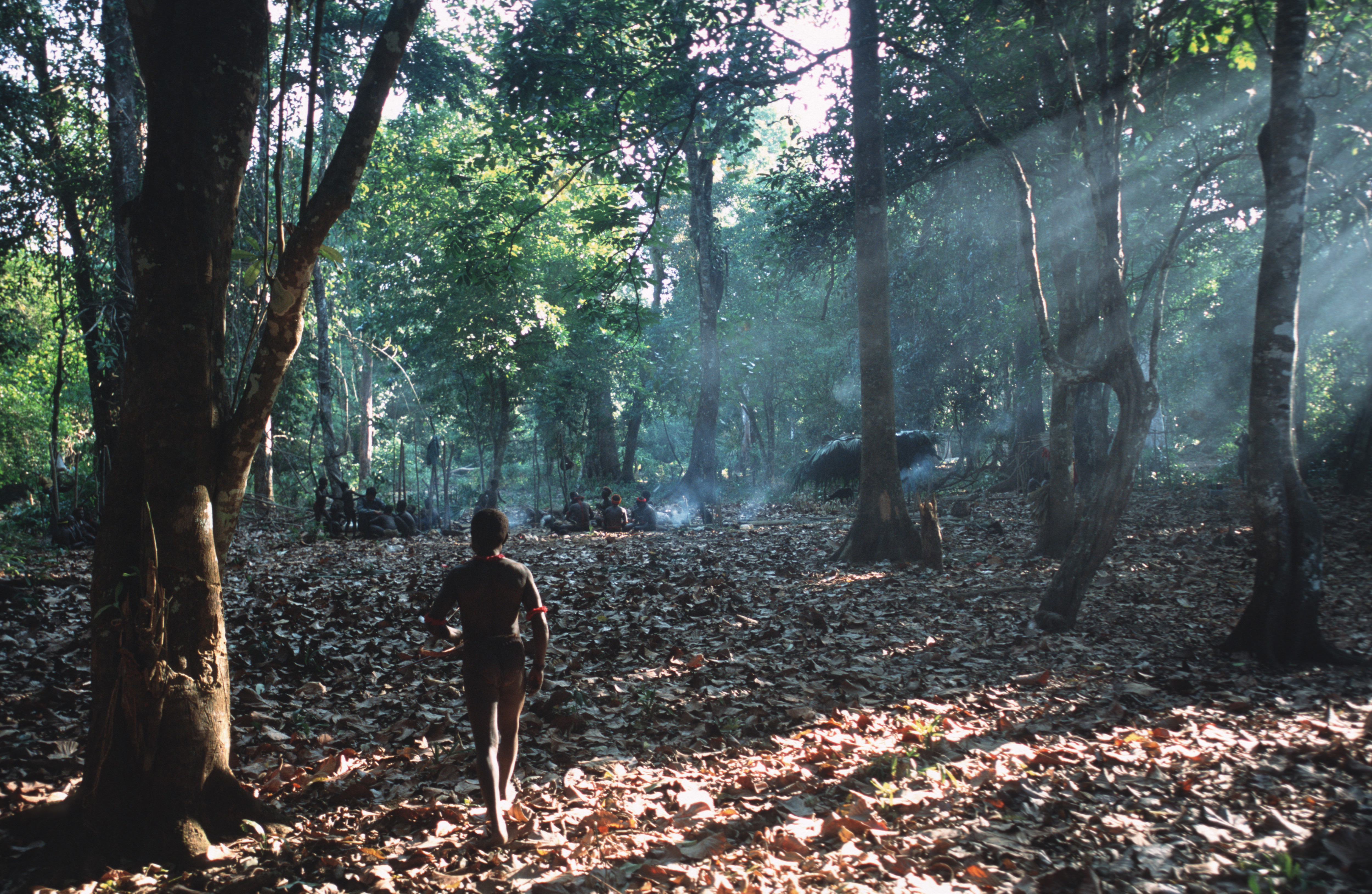 The Jarawa Tribe