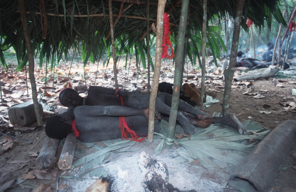 The Jarawa Tribe