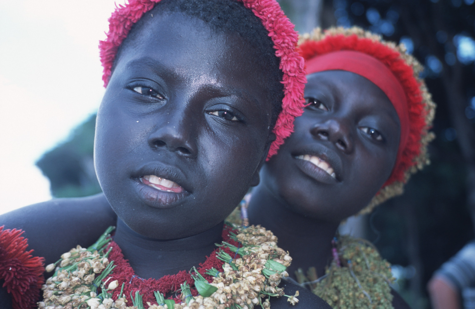 The Jarawa Tribe