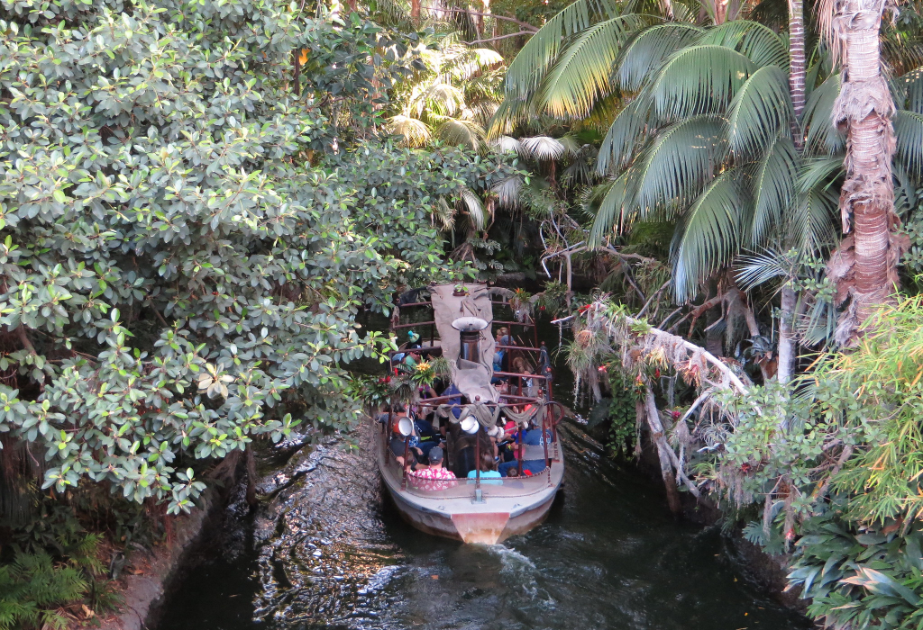Tragic Disney Park Incidents