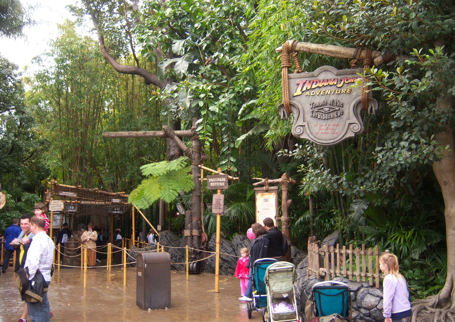 Tragic Disney Park Incidents