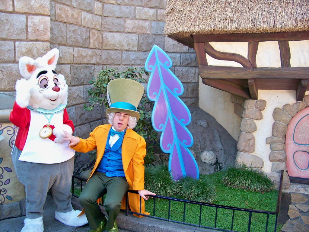 Tragic Disney Park Incidents