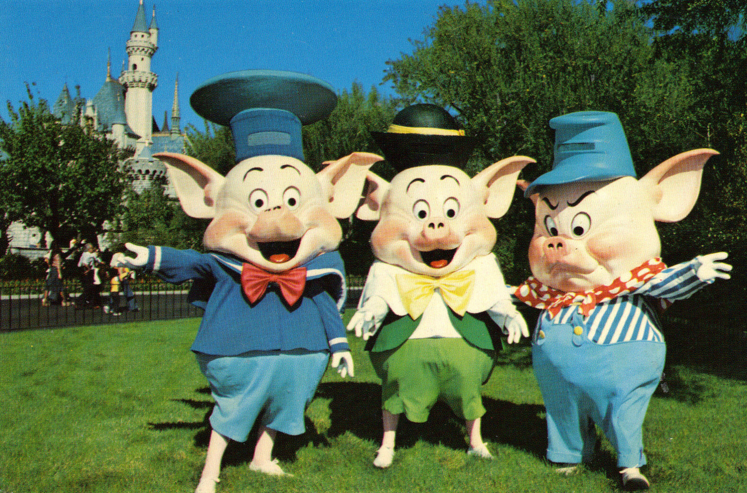 Tragic Disney Park Incidents