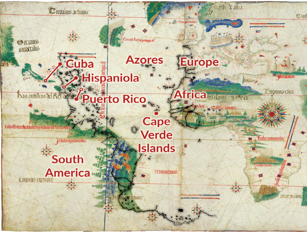 Secrets Of The Unknown With History's Most Mysterious Artifacts