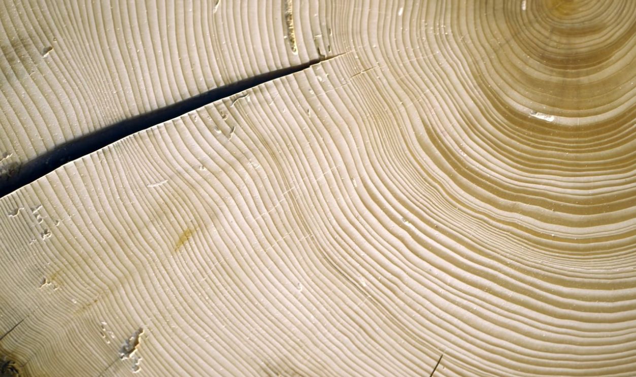 The Climate Apocalypse Of 536 AD That Changed History Forever