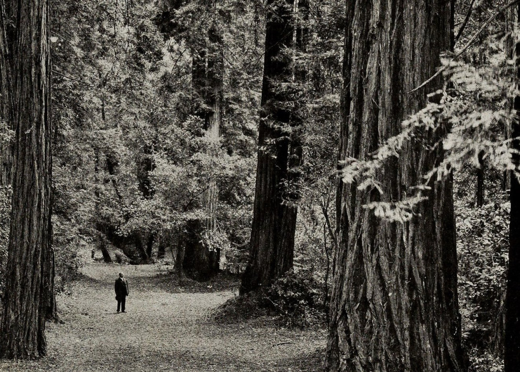 The Secrets Of Bohemian Grove