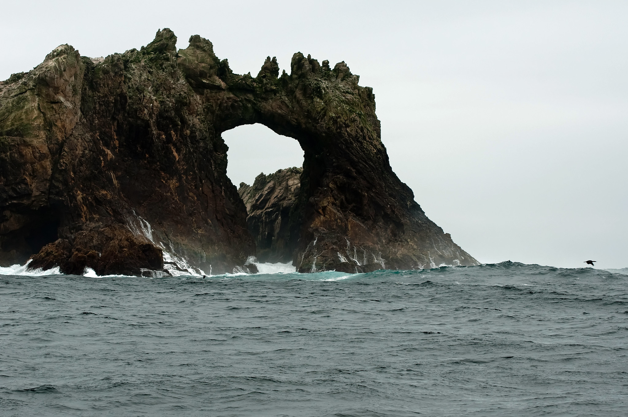 Welcome To The Farallon Islands