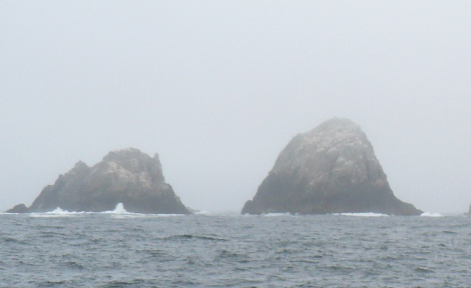 Welcome To The Farallon Islands