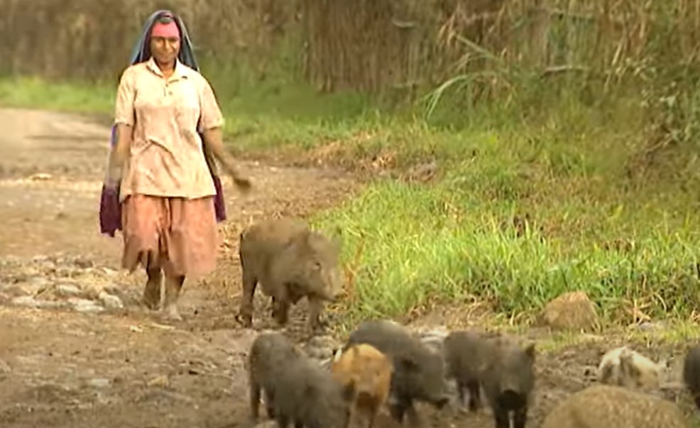 The Huli Wigmen Of Papua New Guinea