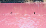 Lake Retba: Senegal's Pink Lake