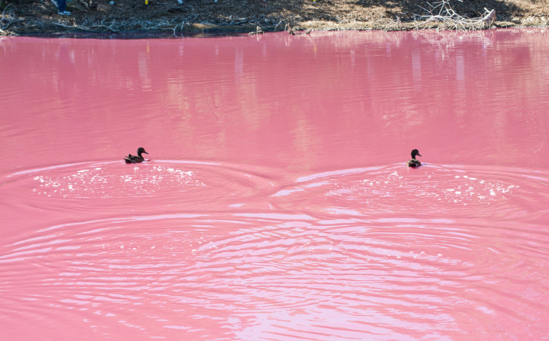 Lake Retba: Senegal's Pink Lake