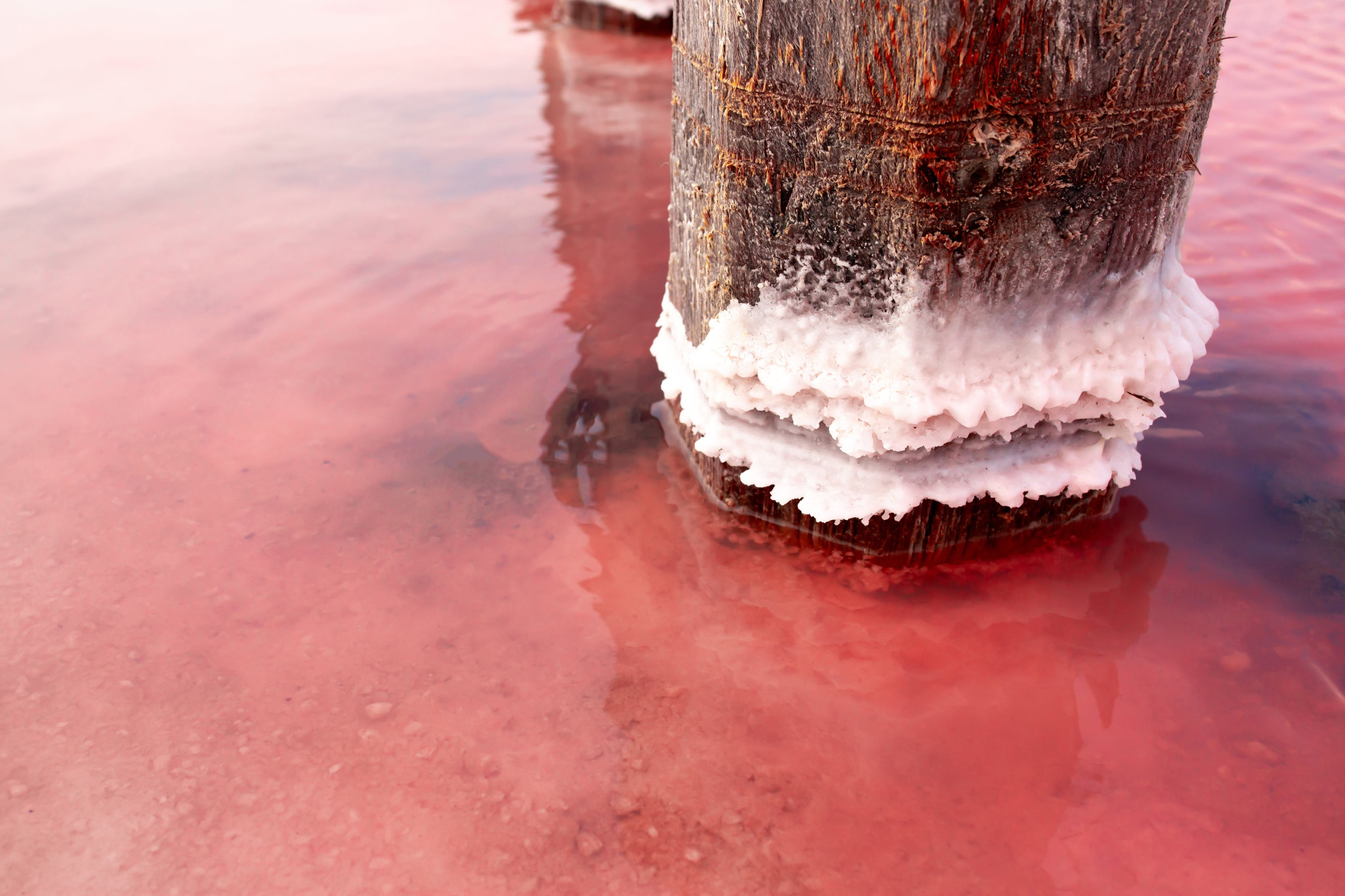 Lake Retba: Senegal's Pink Lake