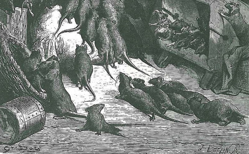 Unveiling The Hidden City Beneath Seattle