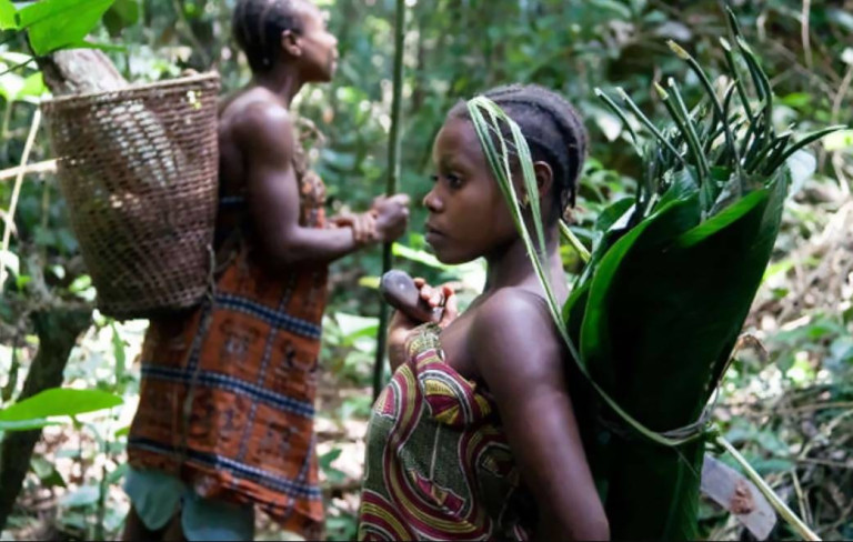 The Baka People, Guardians Of Cameroon’s Forests
