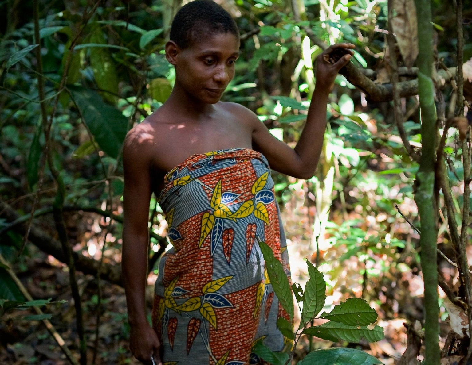 The Baka People, Guardians Of Cameroon’s Forests