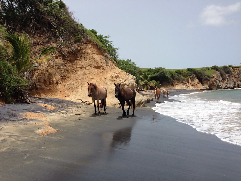 20 American Islands That Feel Like They’re In Another World