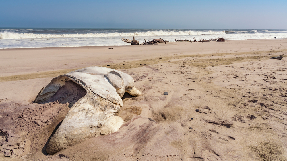 The Skeleton Coast, Namibia